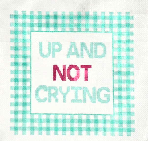 Up and Not Crying – Canvas Queen Needlepoint